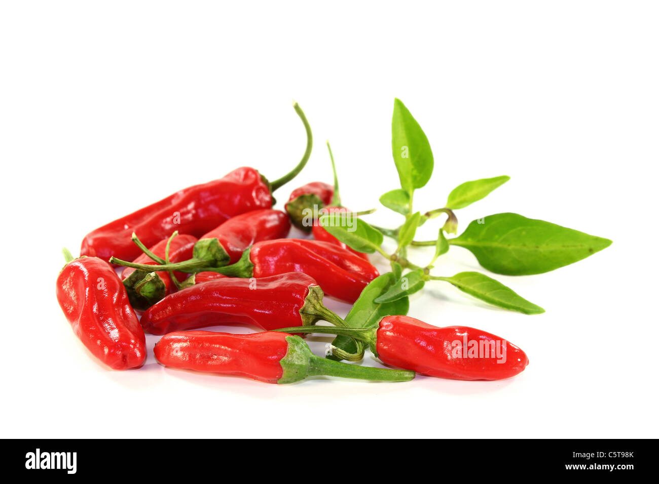 fresh red paprika with leaves on a white background Stock Photo - Alamy