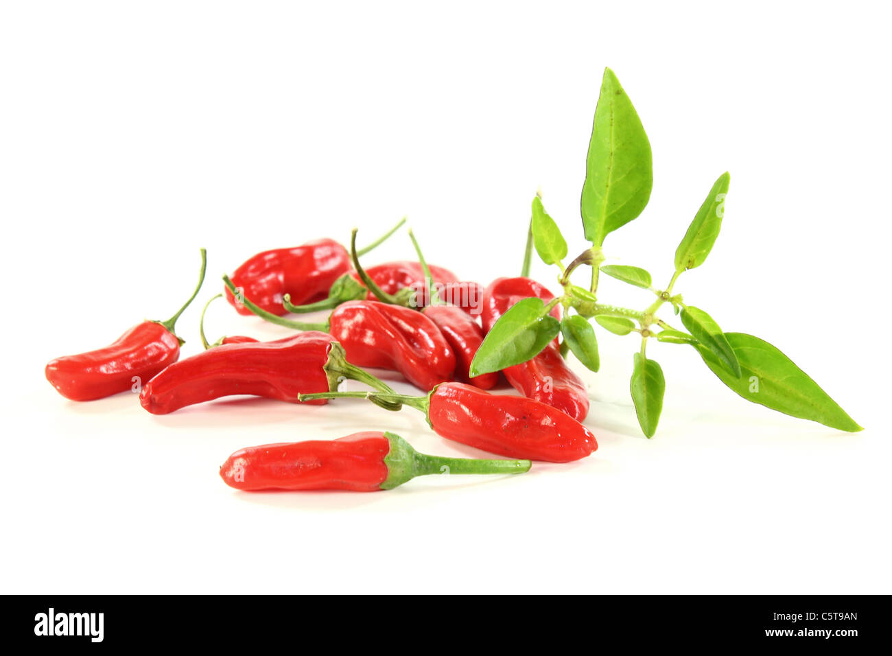 fresh red paprika with leaves on a white background Stock Photo - Alamy
