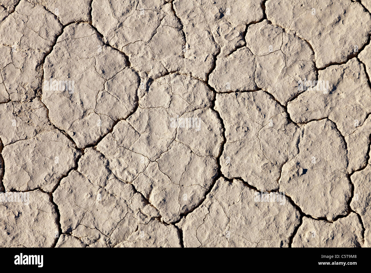 Cracked mud patterns at the Race Track Death Valley USA Stock Photo - Alamy