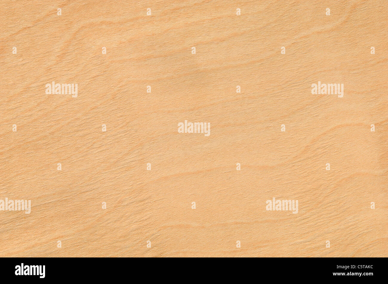 Wood surface, Maple Wood (Aceraceae) full frame Stock Photo - Alamy