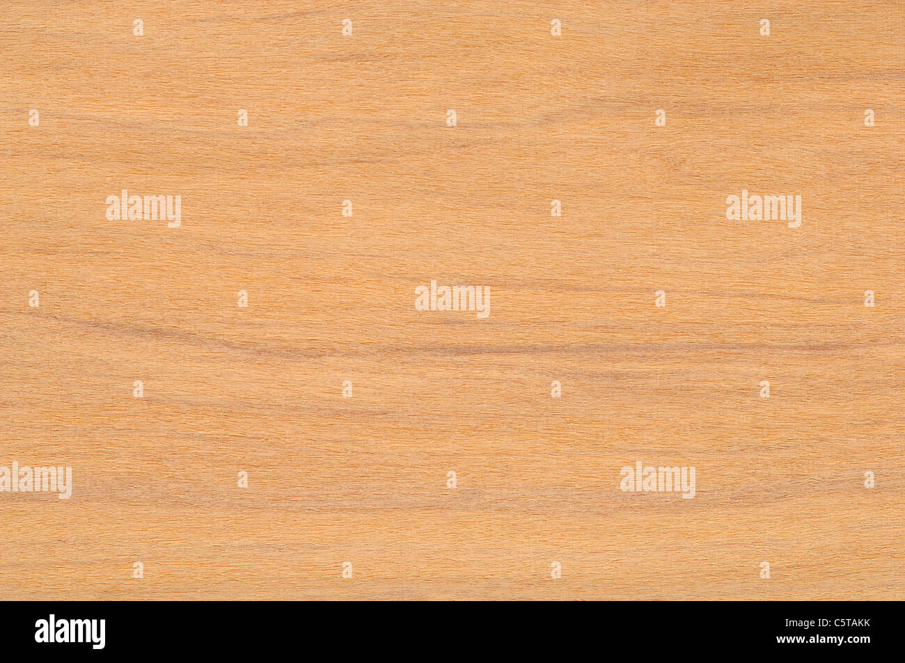 Wood surface, Odoko (Scottellia coriasea, Flacourtiaceae) full frame ...