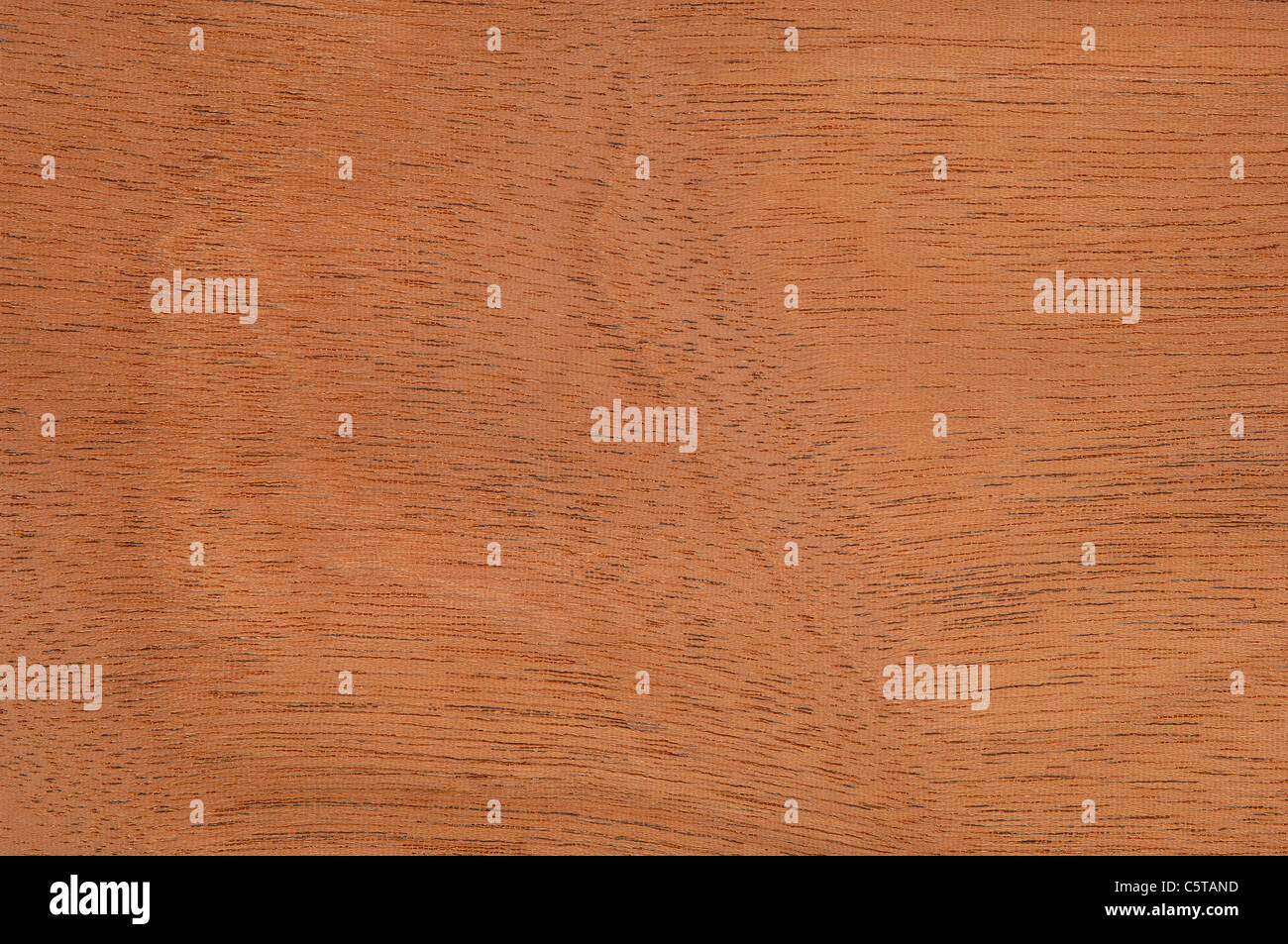 Wood surface, Crabwood (Carapa guianensis) full frame Stock Photo - Alamy