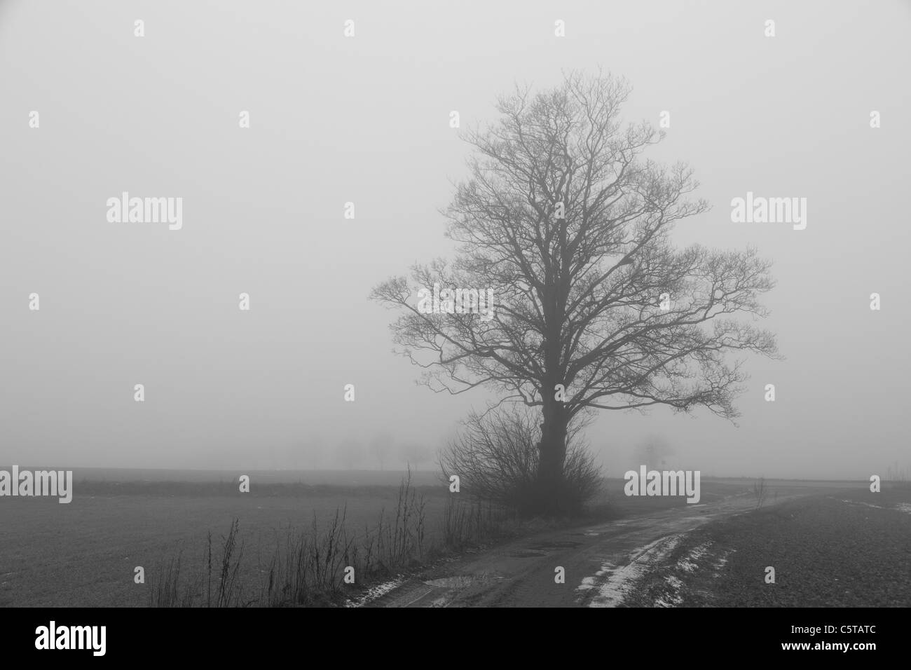 Mist Black and White Stock Photos & Images - Alamy