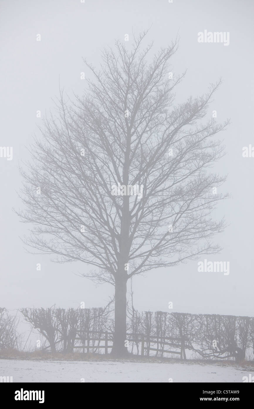 Ripon uk in winter hi-res stock photography and images - Alamy