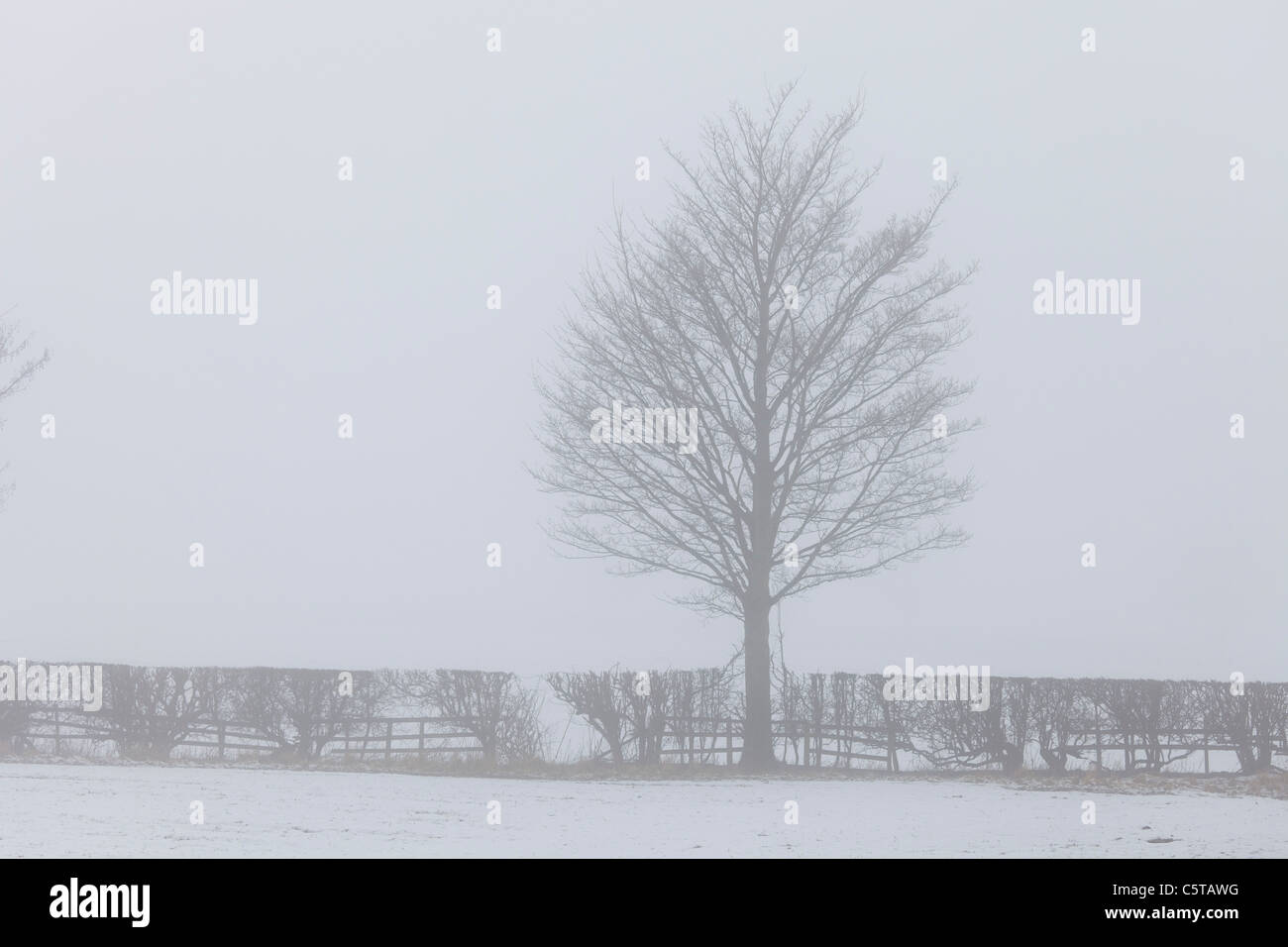 Ripon uk in winter hi-res stock photography and images - Alamy