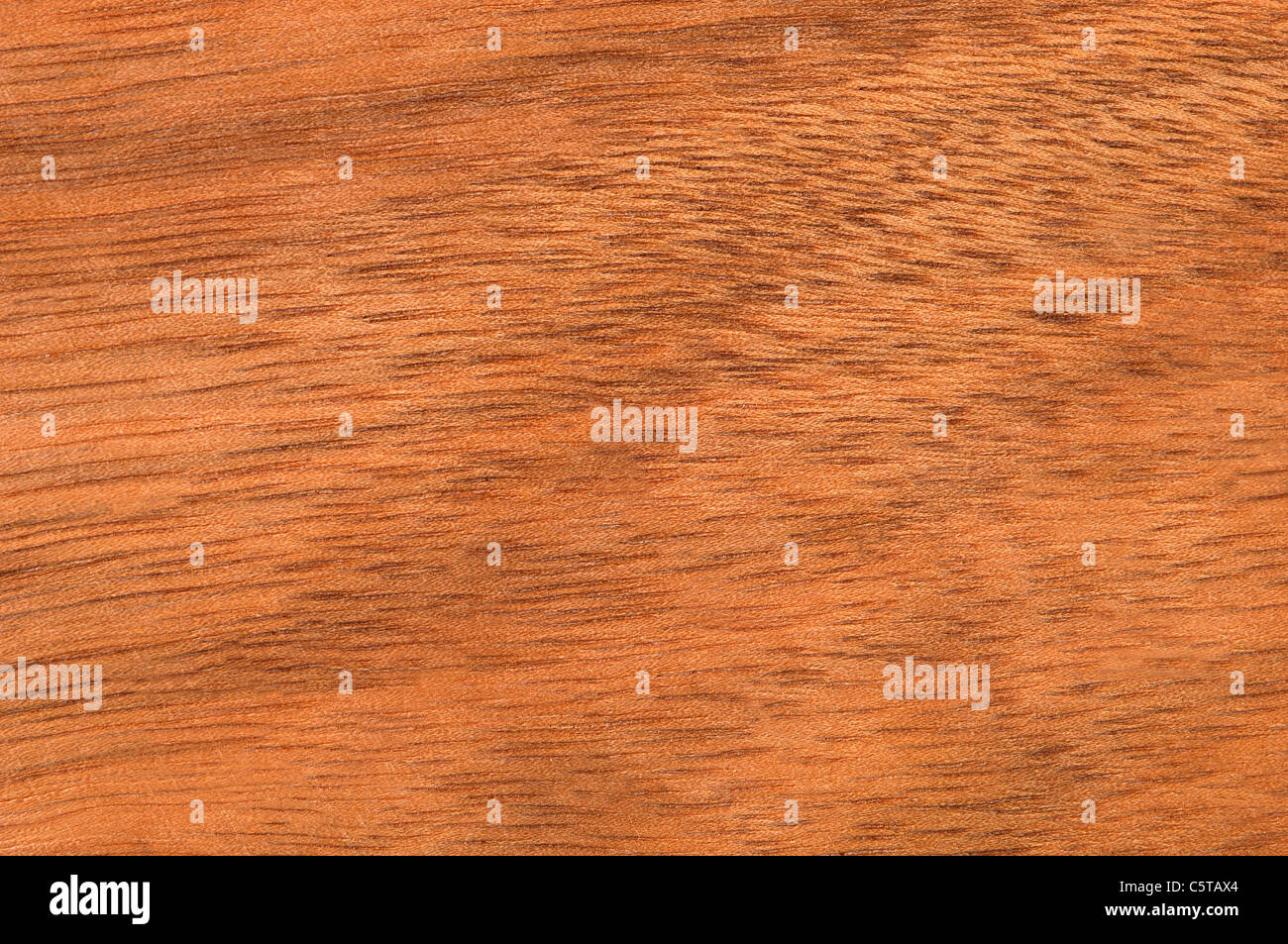 Wood surface, Paldao wood (Dracontomelum dao) full frame Stock Photo ...