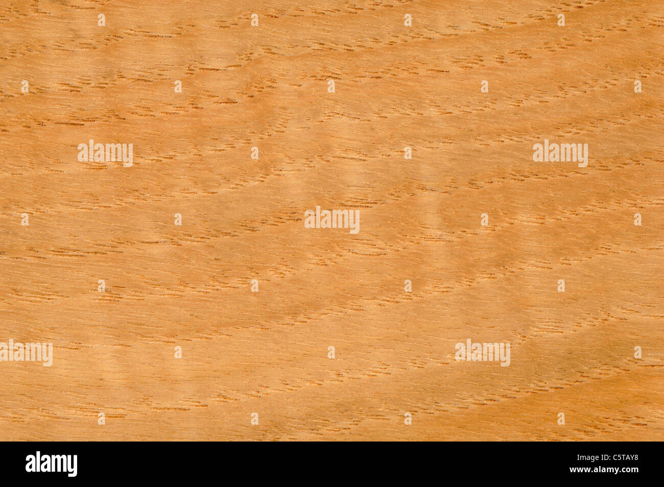 Chestnut wood hi-res stock photography and images - Alamy