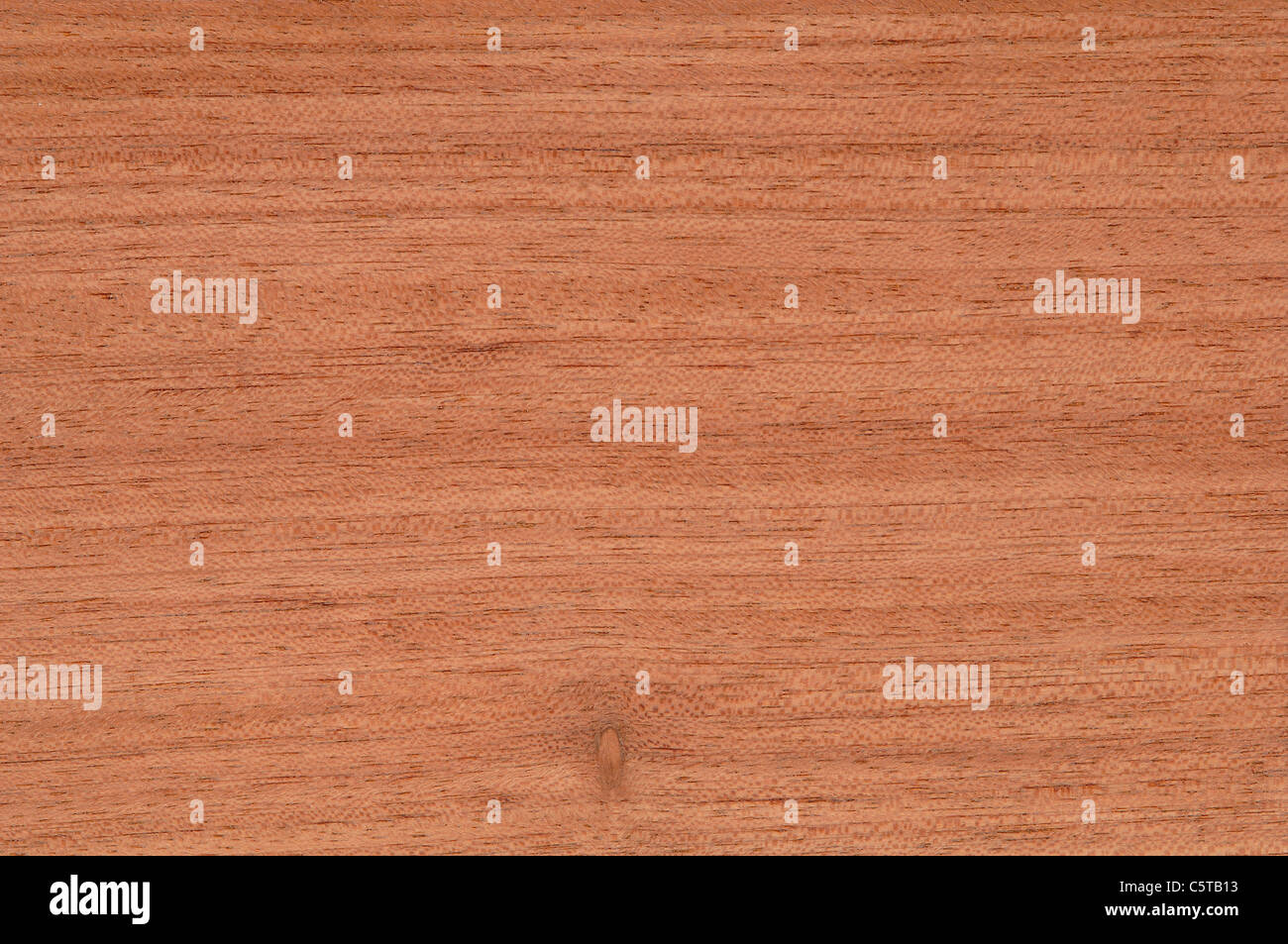 Wood surface, Etimoe Wood (Capoifera salikounda), full frame Stock ...