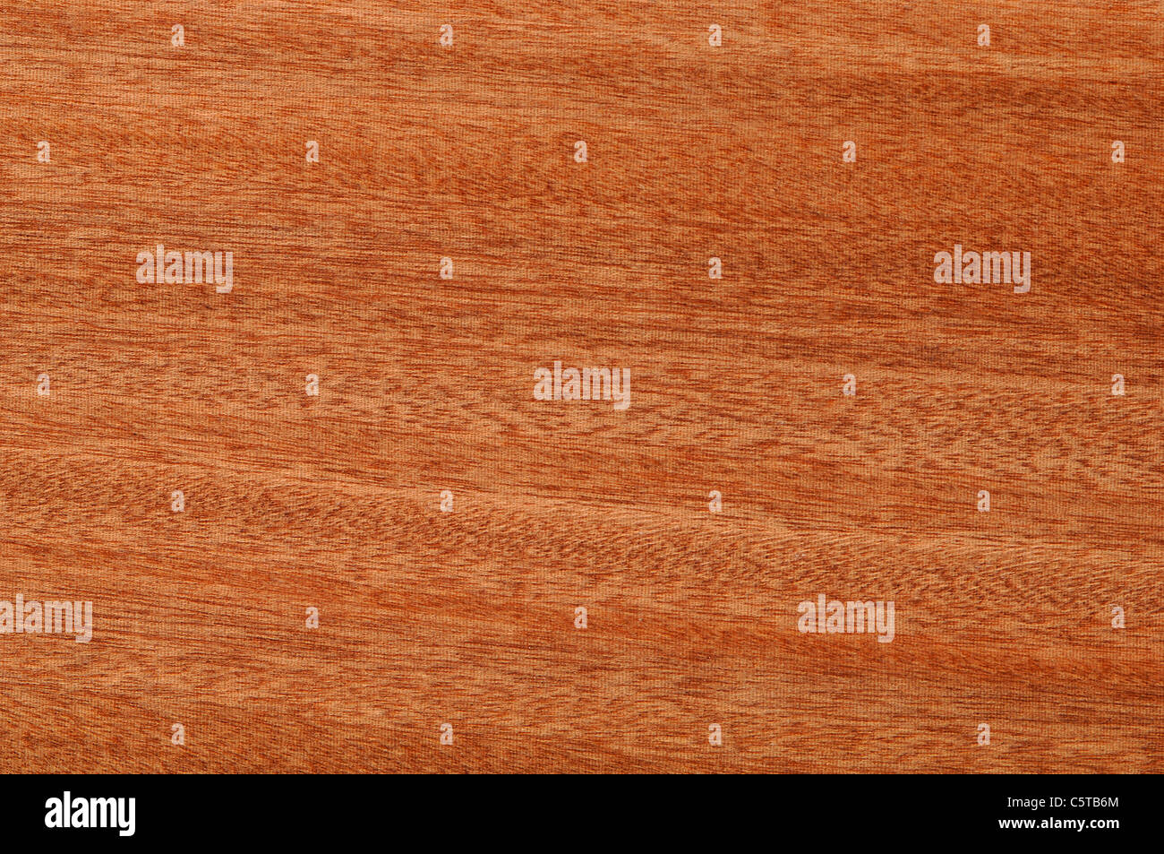 Wood surface, Danta Wood (Cistanthera papaverifera) full frame Stock ...