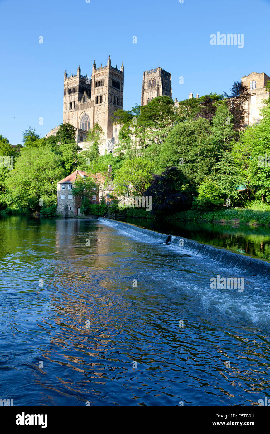Durham Cathedral and the River Wear in summer UK Stock Photo - Alamy
