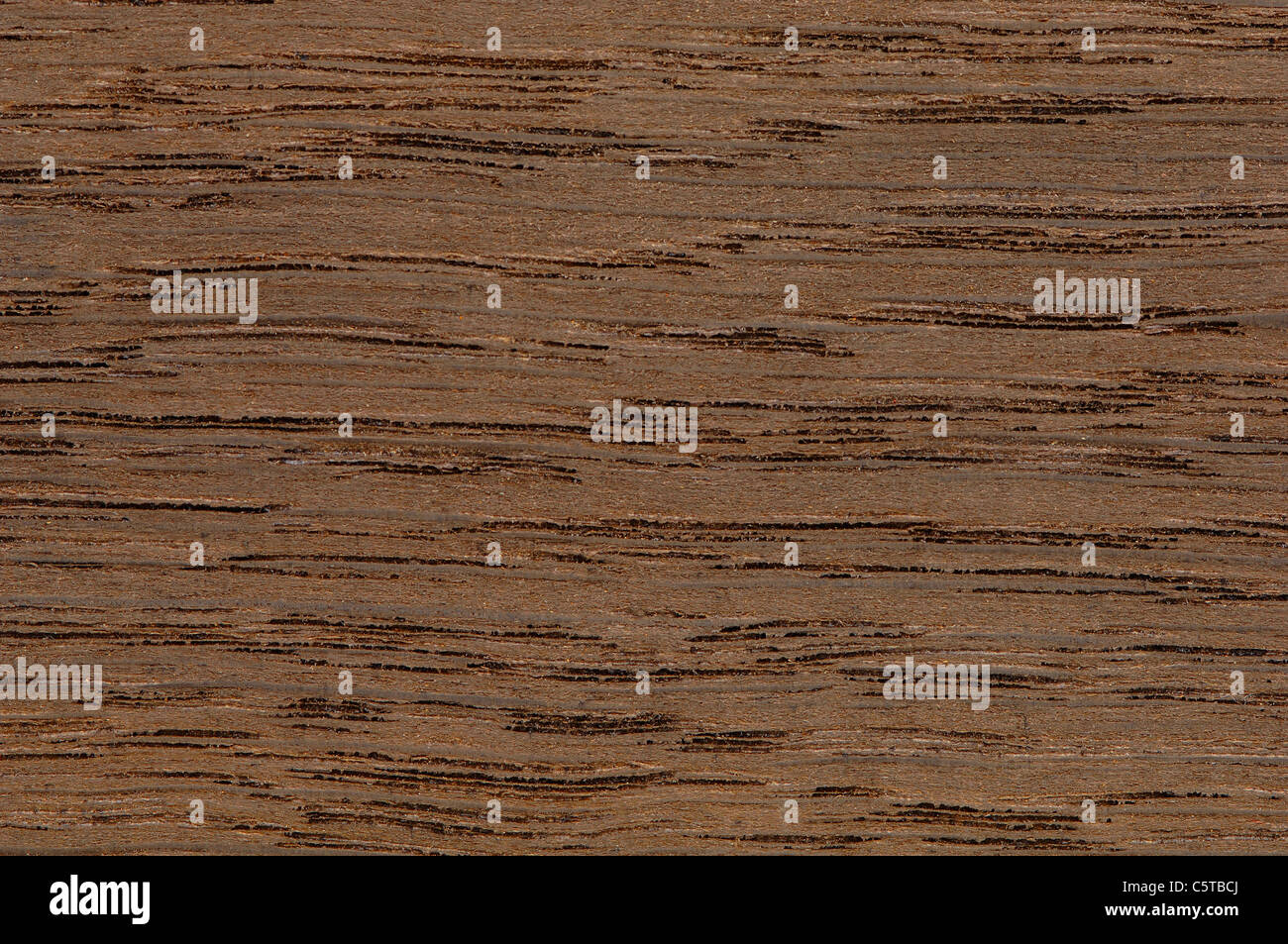 Wood surface, Moor Oak wood (Quercus robur) full frame Stock Photo - Alamy