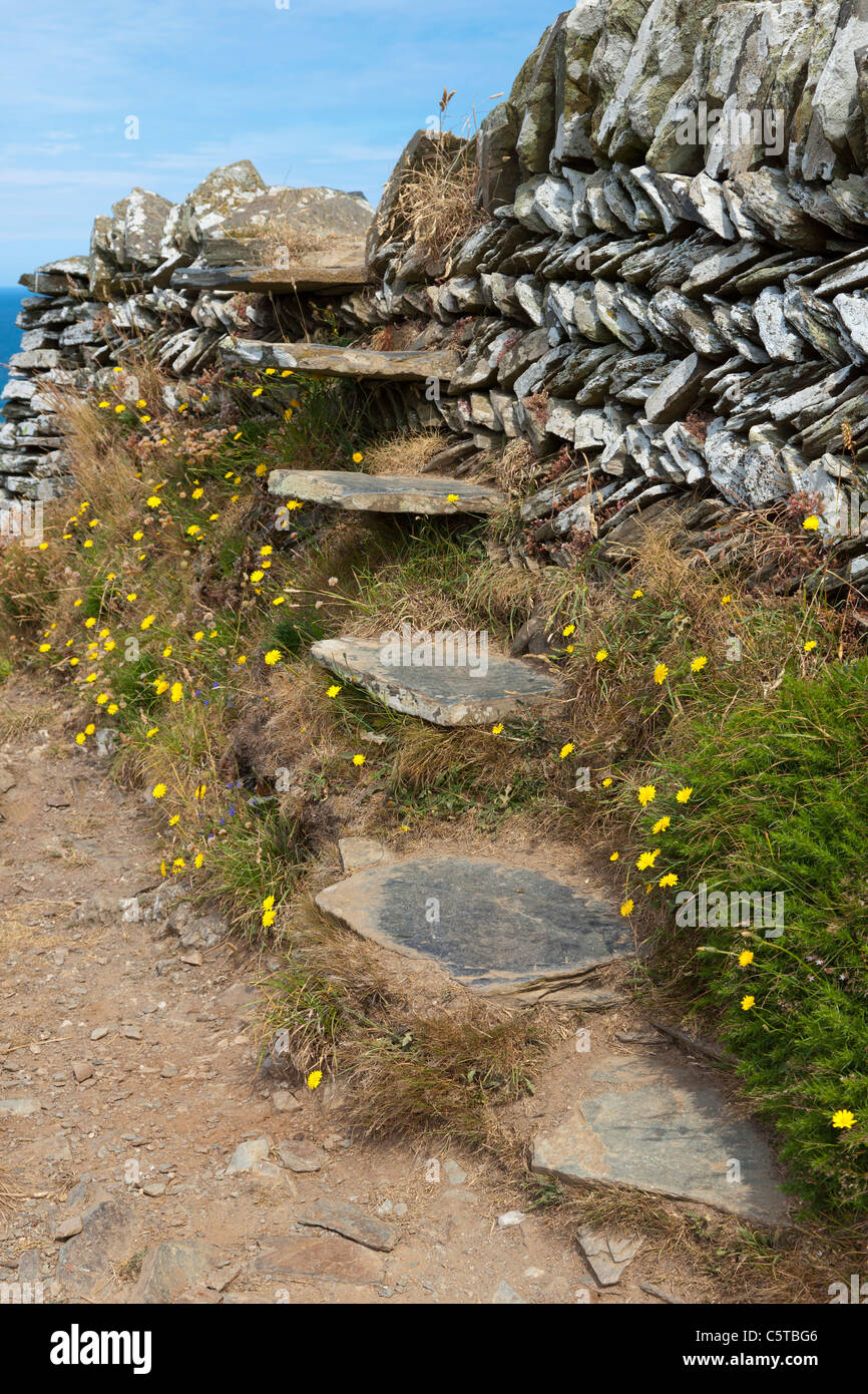 Stone steps in wall on the North Cornall Coastal Path England Stock ...