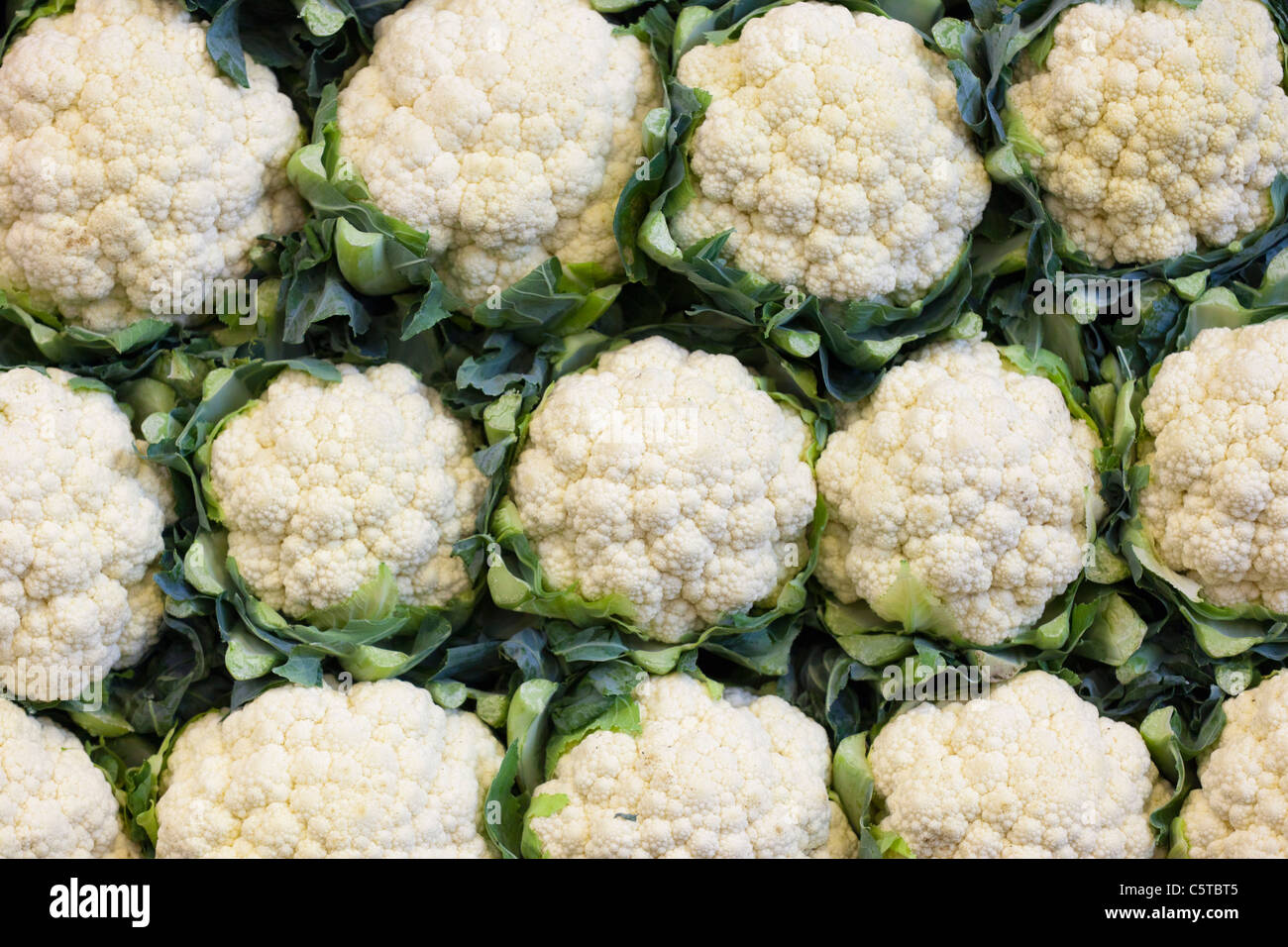 Cauliflowers on display at country show Stock Photo - Alamy