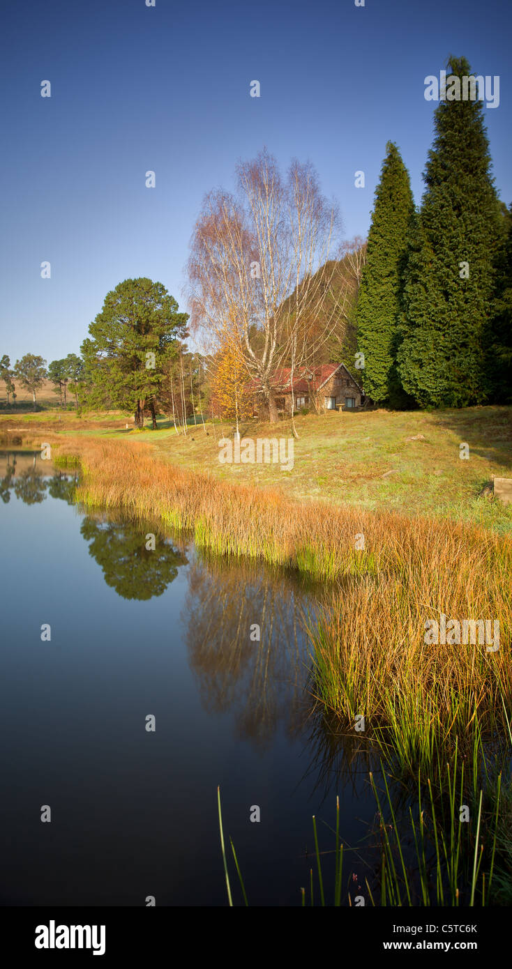 Long exposure image autumn trees hi-res stock photography and images ...