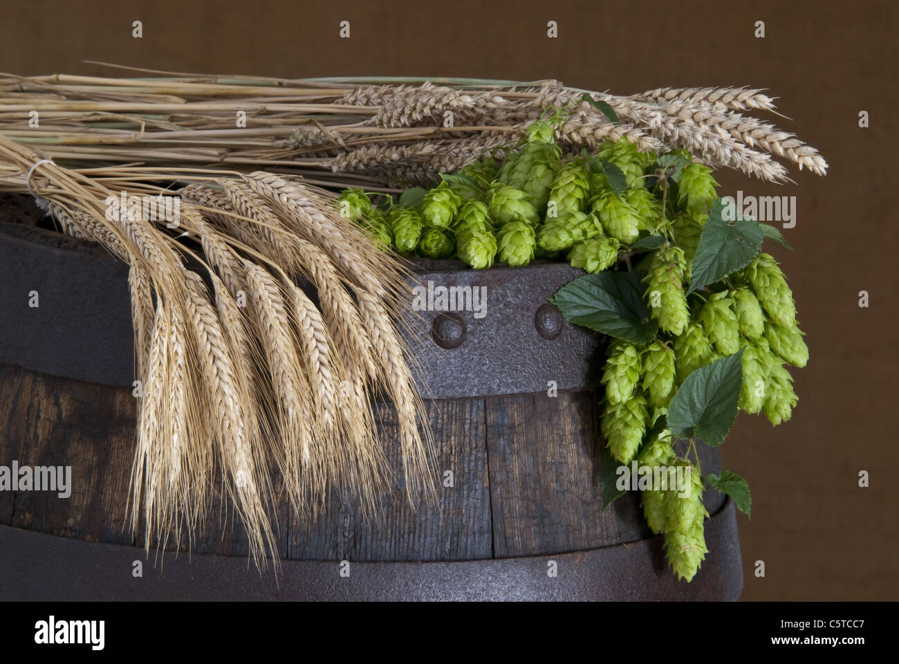 Barley brewing hi-res stock photography and images - Alamy