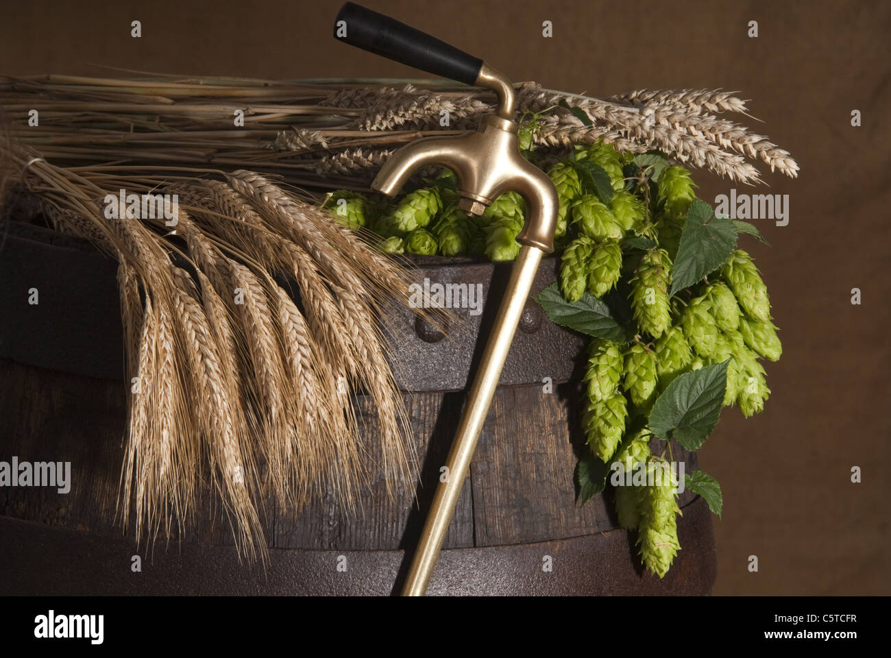 hops with barley Stock Photo - Alamy