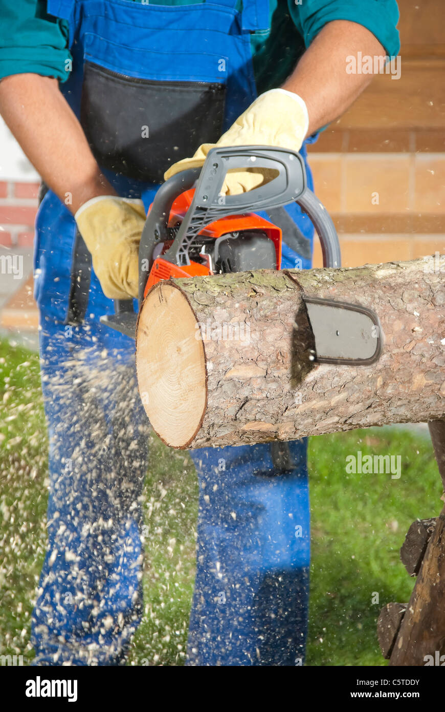 The lumberjack cutting the log of wood Stock Photo - Alamy