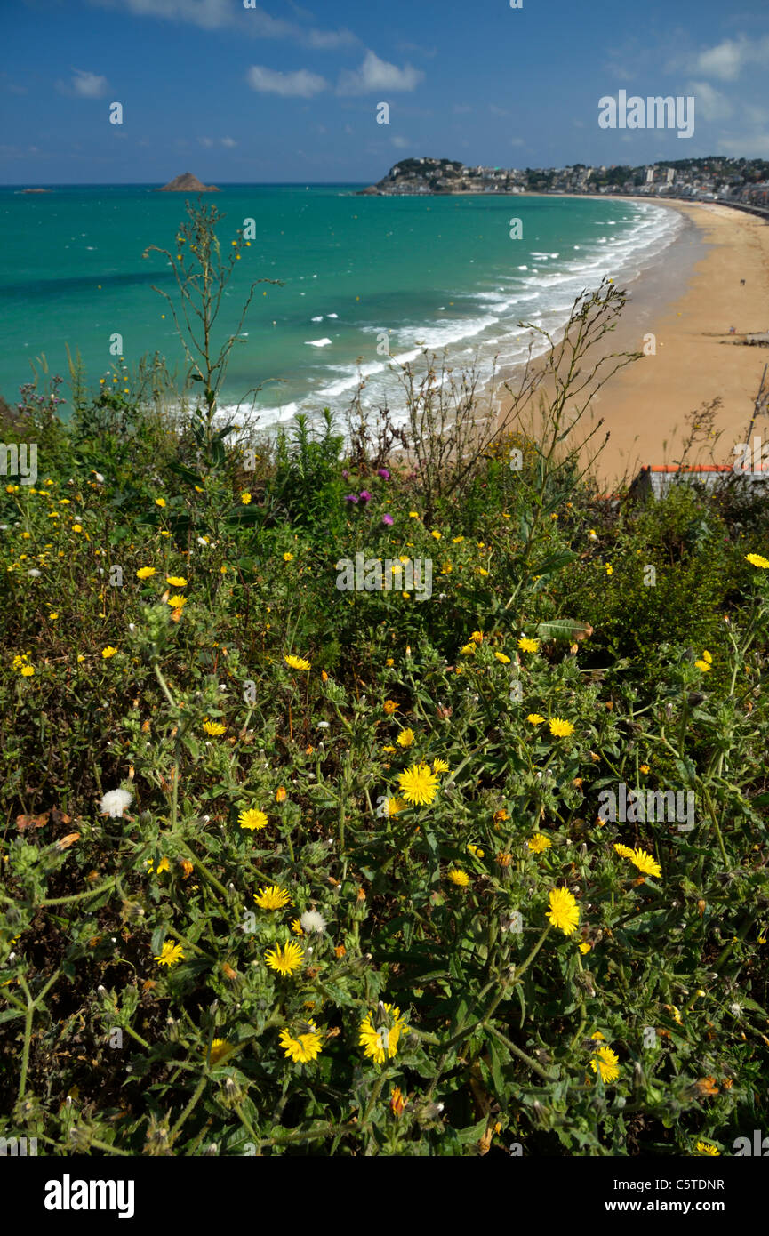 The main beach at Pléneuf-Val-André, France FR Stock Photo - Alamy