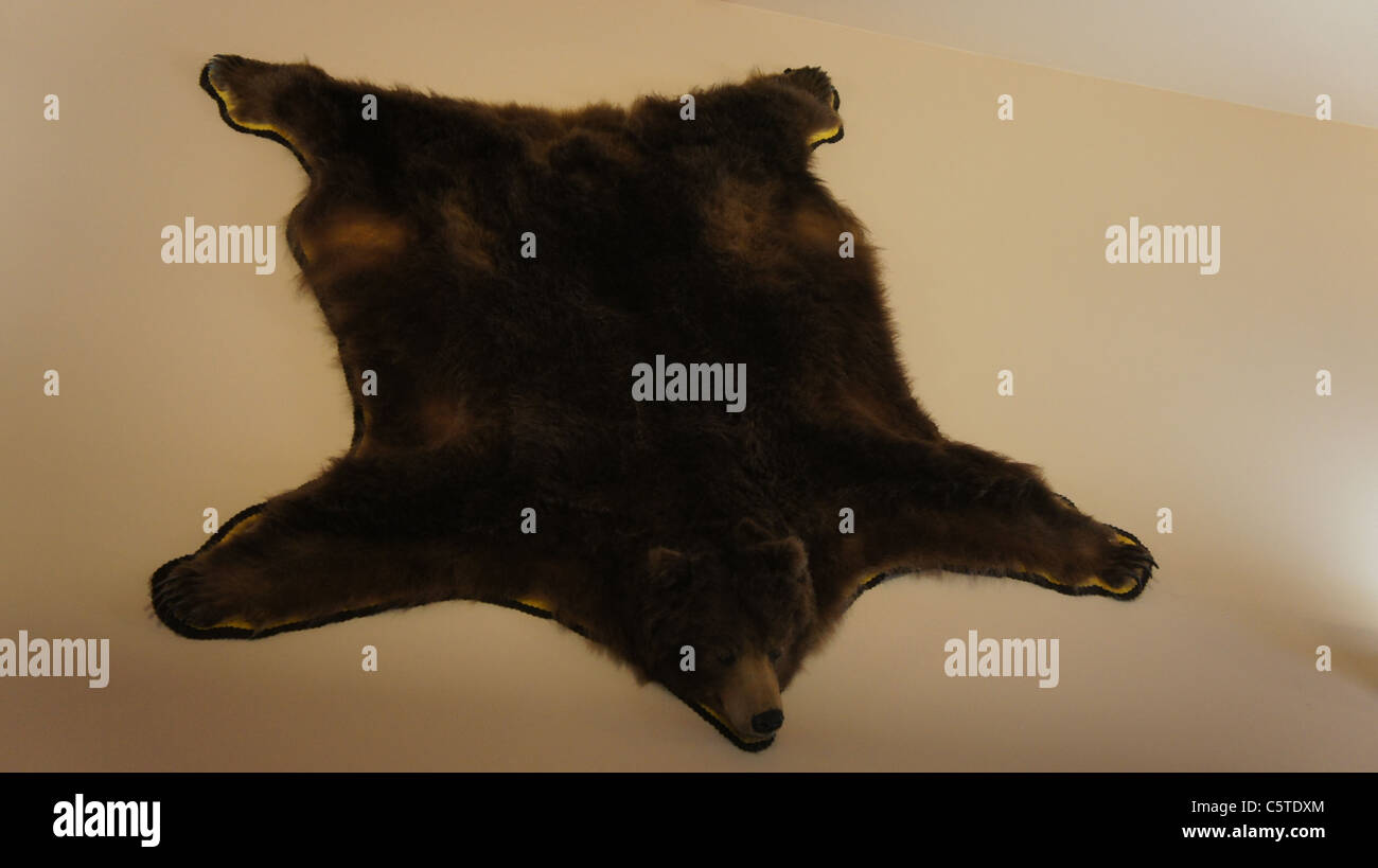 Alaska bear skin hi-res stock photography and images - Alamy