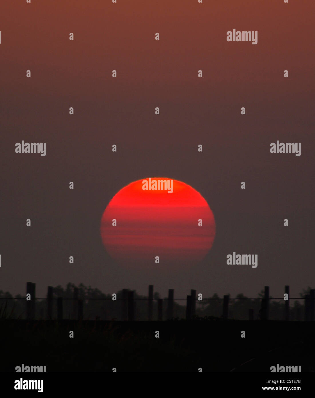 Tropical Sunrise in Mist Stock Photo - Alamy