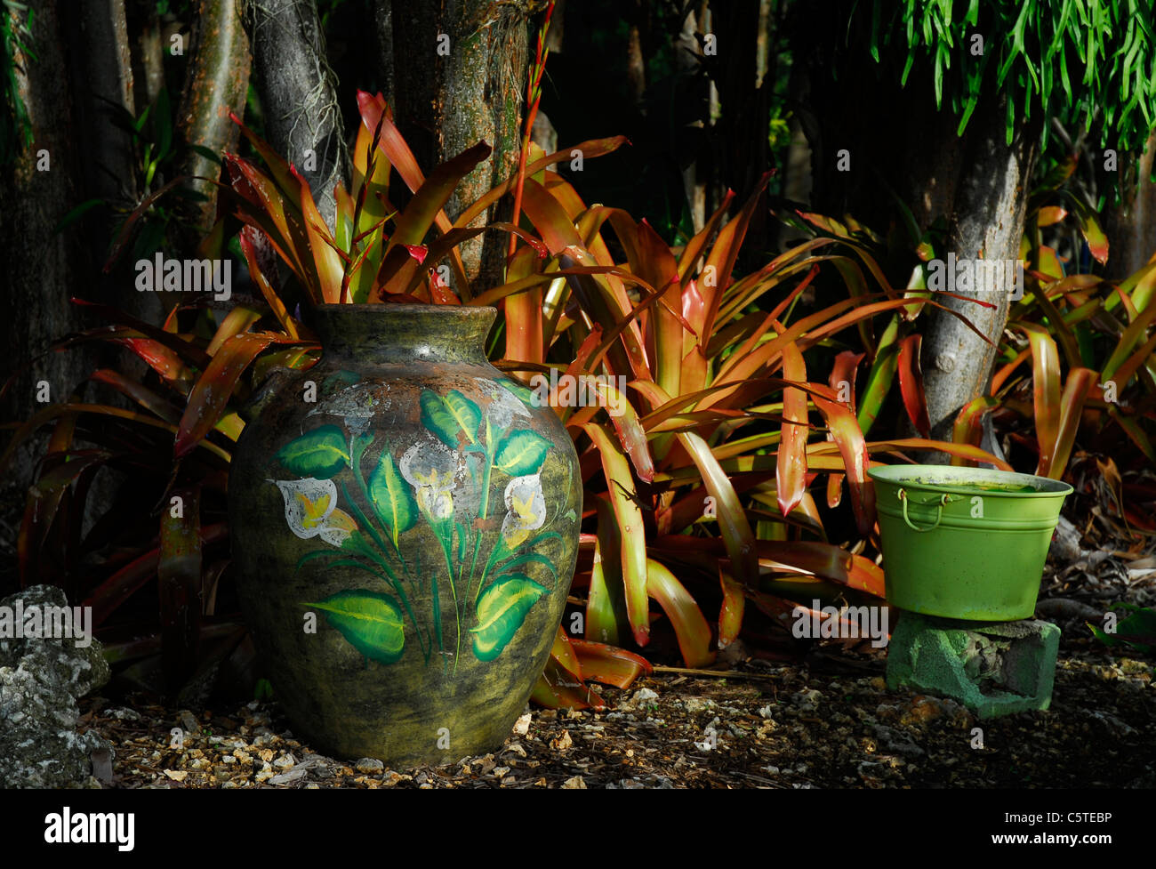 Tropical still life hi-res stock photography and images - Alamy