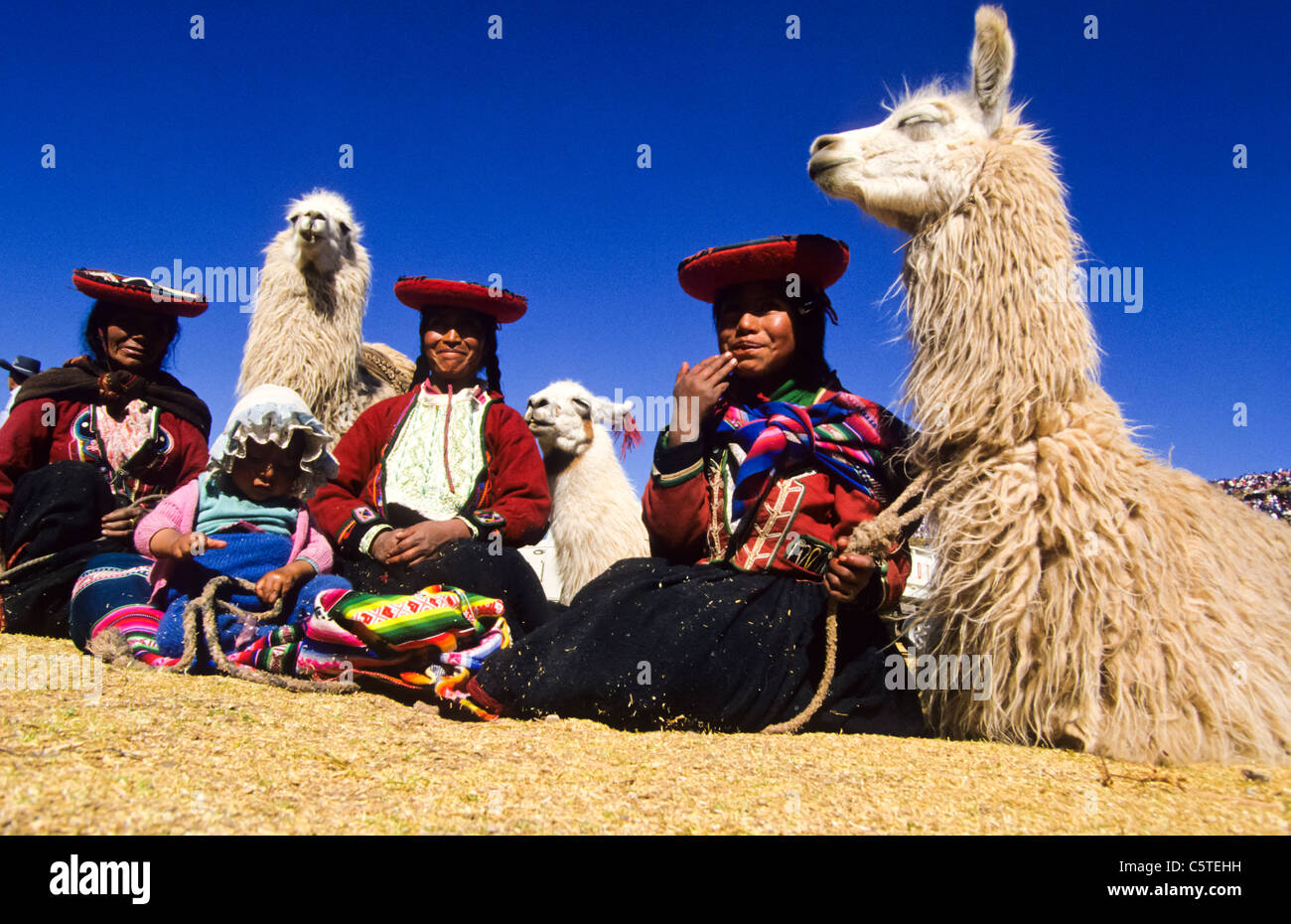 Three lamas hi-res stock photography and images - Alamy
