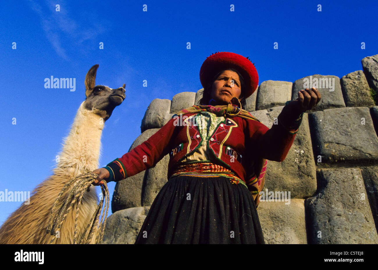 Indian Girl with a lama at the granit foundation of the Sacsayhuaman ...