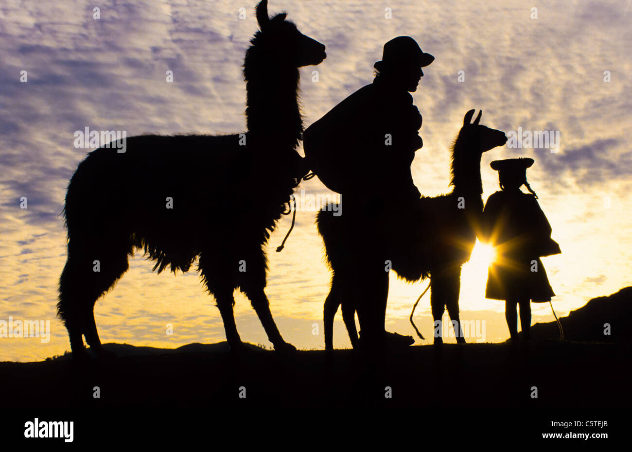 young inka woman with lamas in silhouette to the sunset Stock Photo - Alamy
