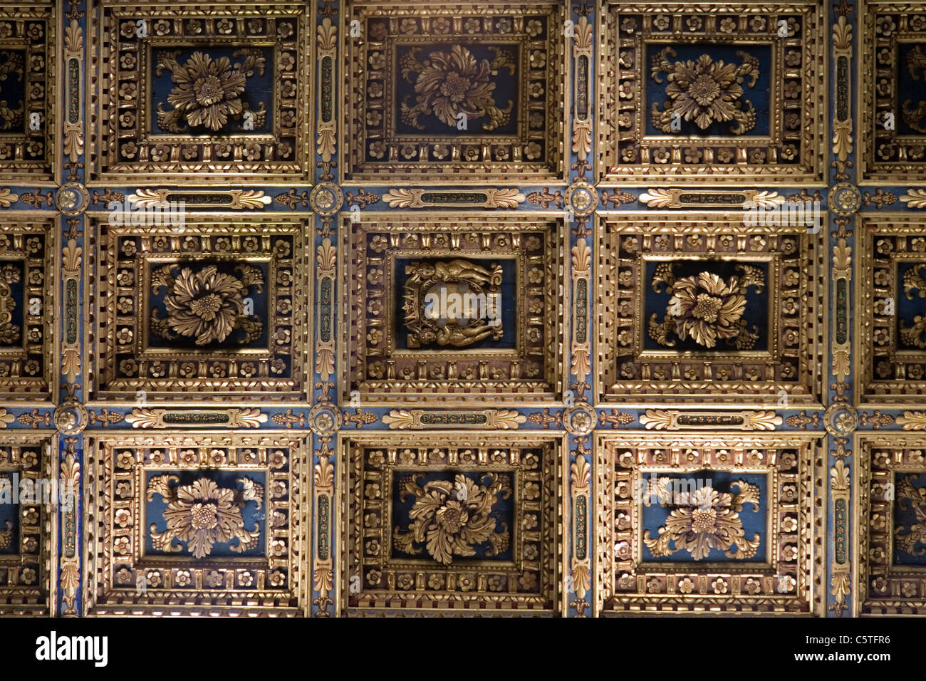 Coffered gilded ceiling in the Duomo Pisa Tuscany Italy Stock Photo - Alamy