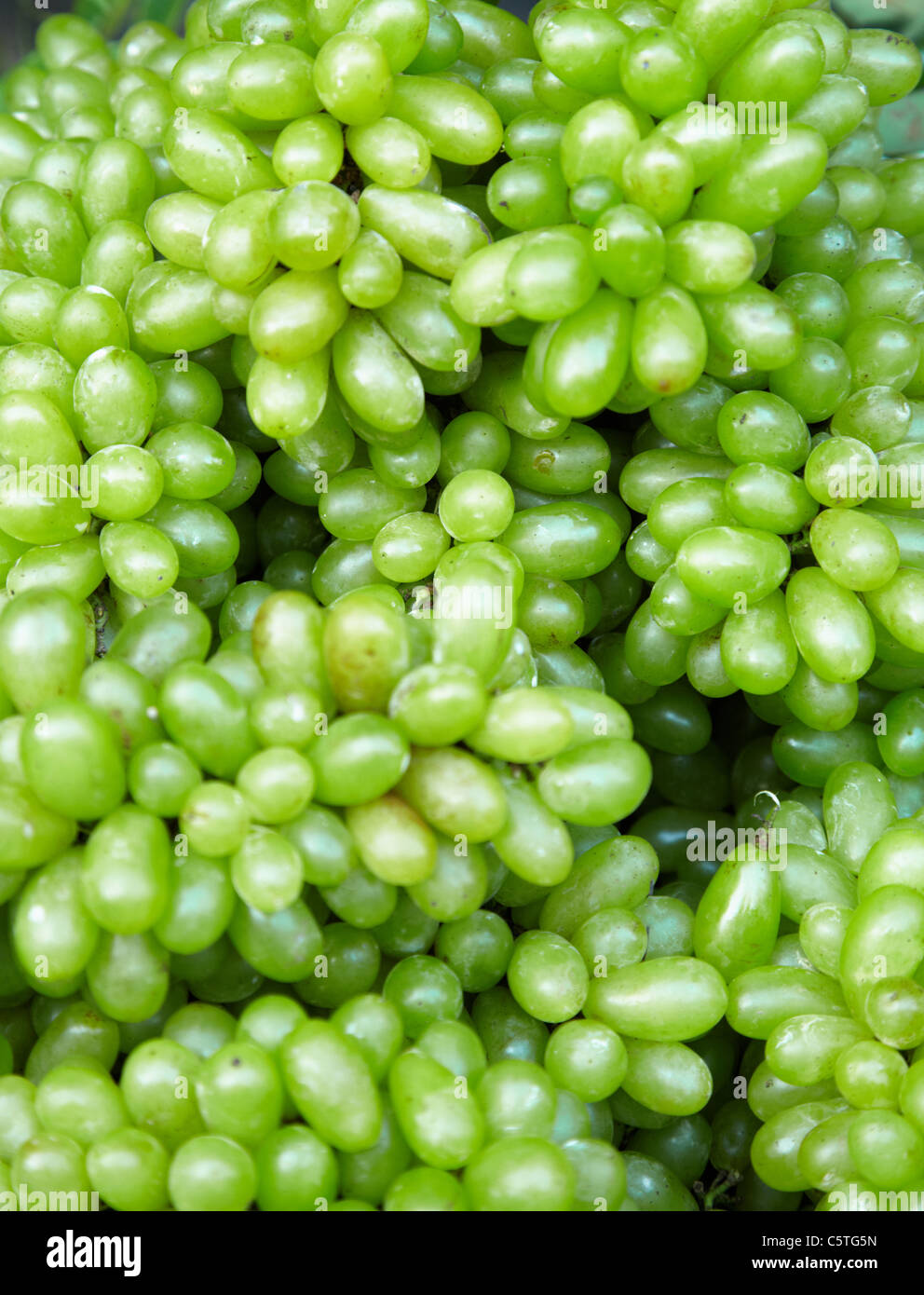 The large dessert green grapes - edible background Stock Photo - Alamy