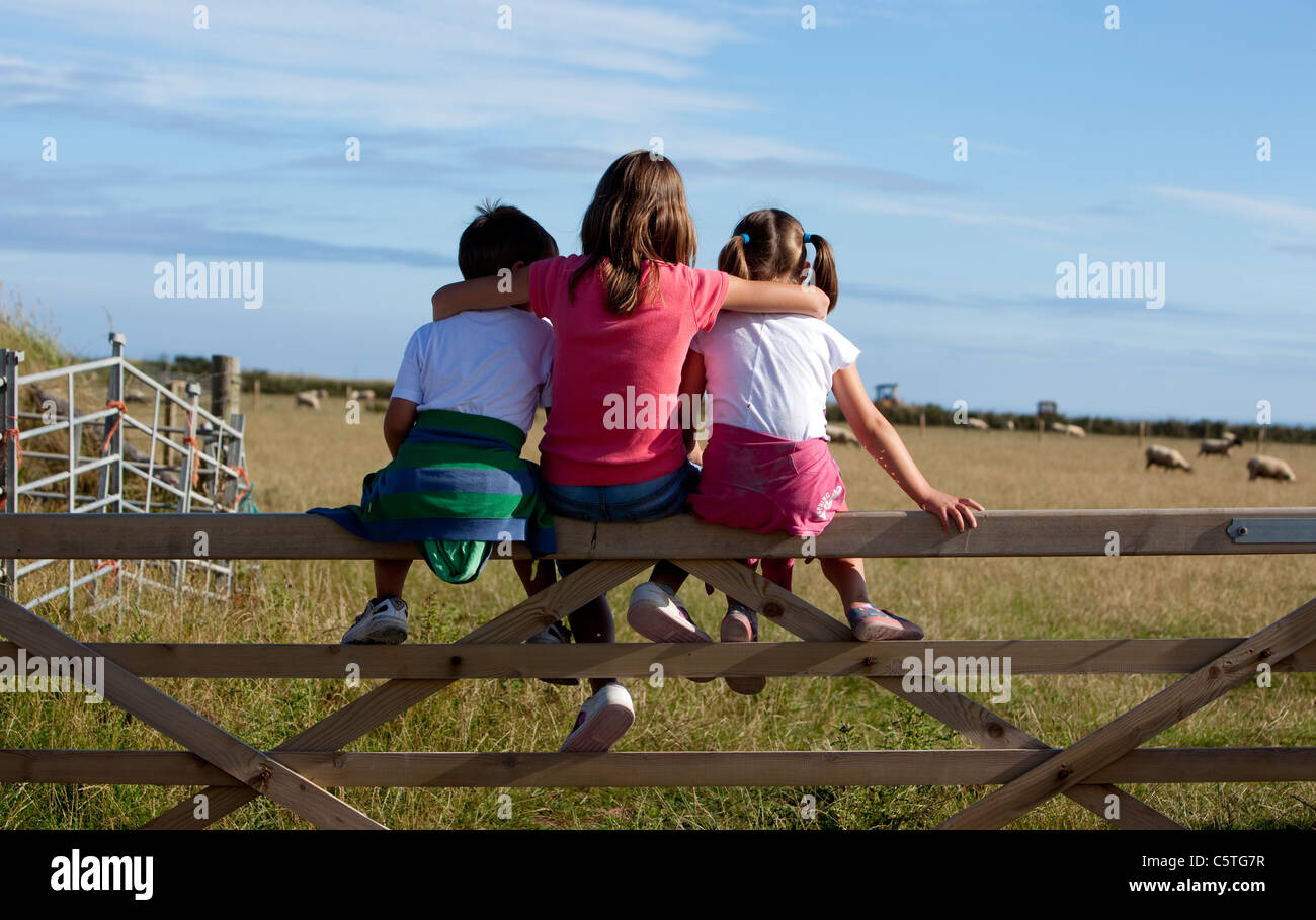 Three Bar Gate High Resolution Stock Photography and Images - Alamy