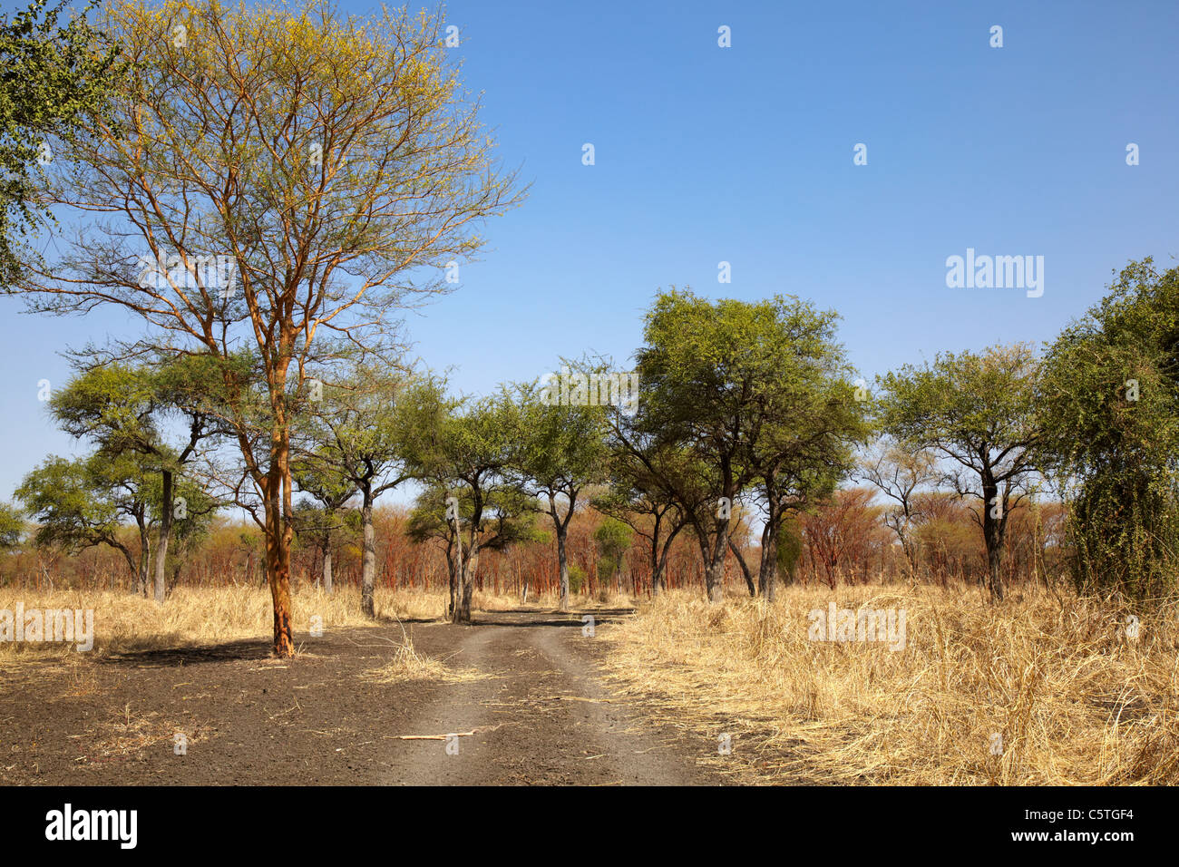 Dinder (Dindir) National Park, Northern Sudan, Africa Stock Photo - Alamy