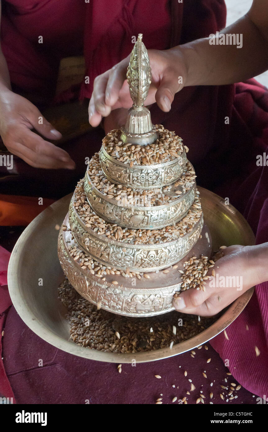 Silver lama hi-res stock photography and images - Alamy