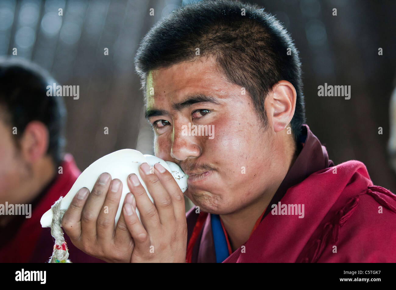 Conch shell horn hi-res stock photography and images - Alamy