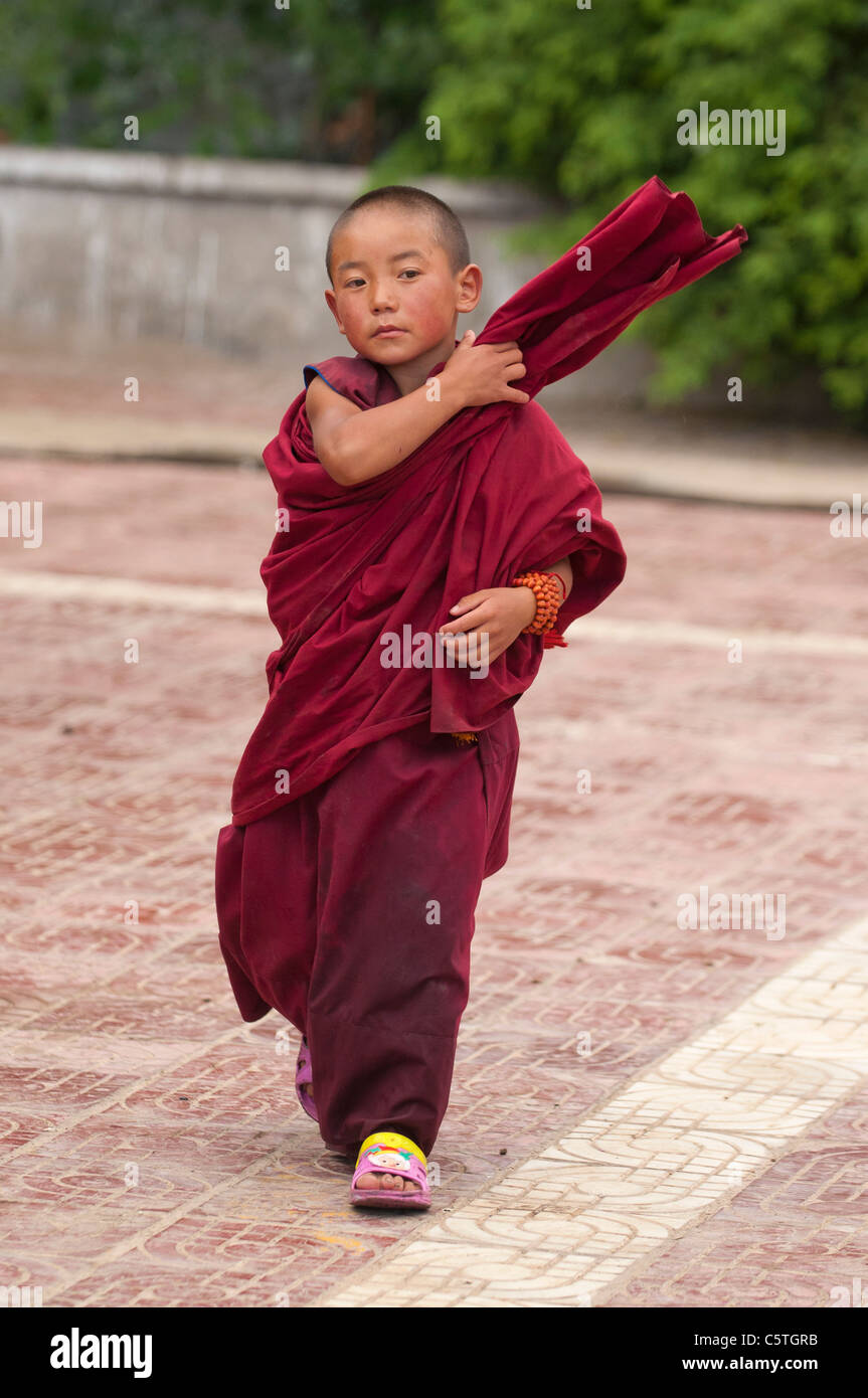 Tibetan Monk Boy