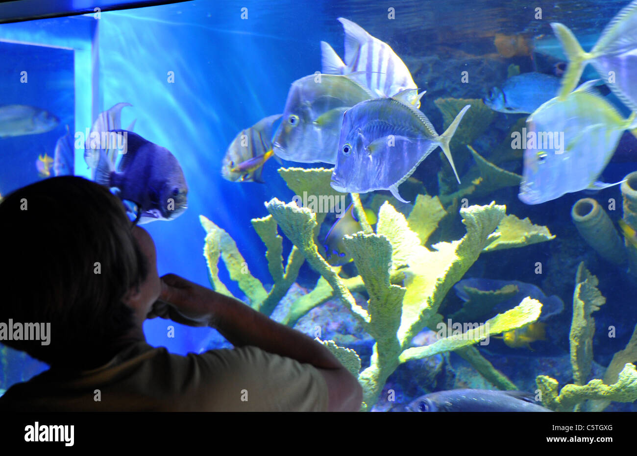 Huge water tank hi-res stock photography and images - Alamy