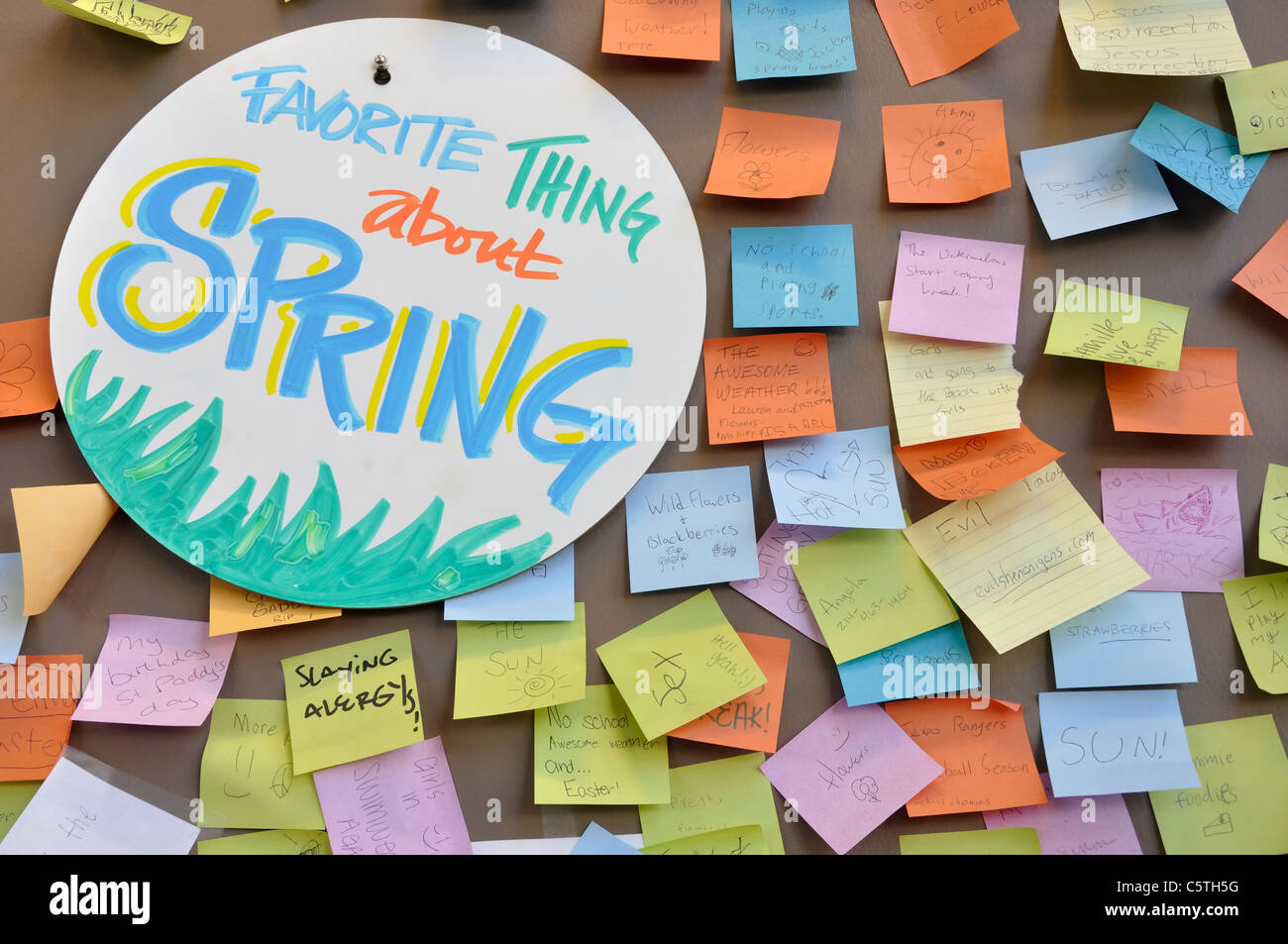 Favorite thing about spring poll in local Whole Foods supermarket ...