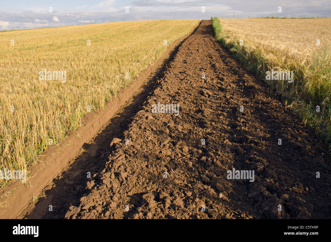 Field Tillage High Resolution Stock Photography and Images - Alamy