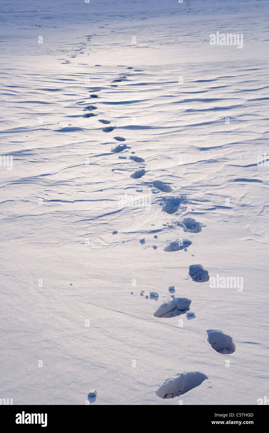 Footprints in deep snow Stock Photo - Alamy