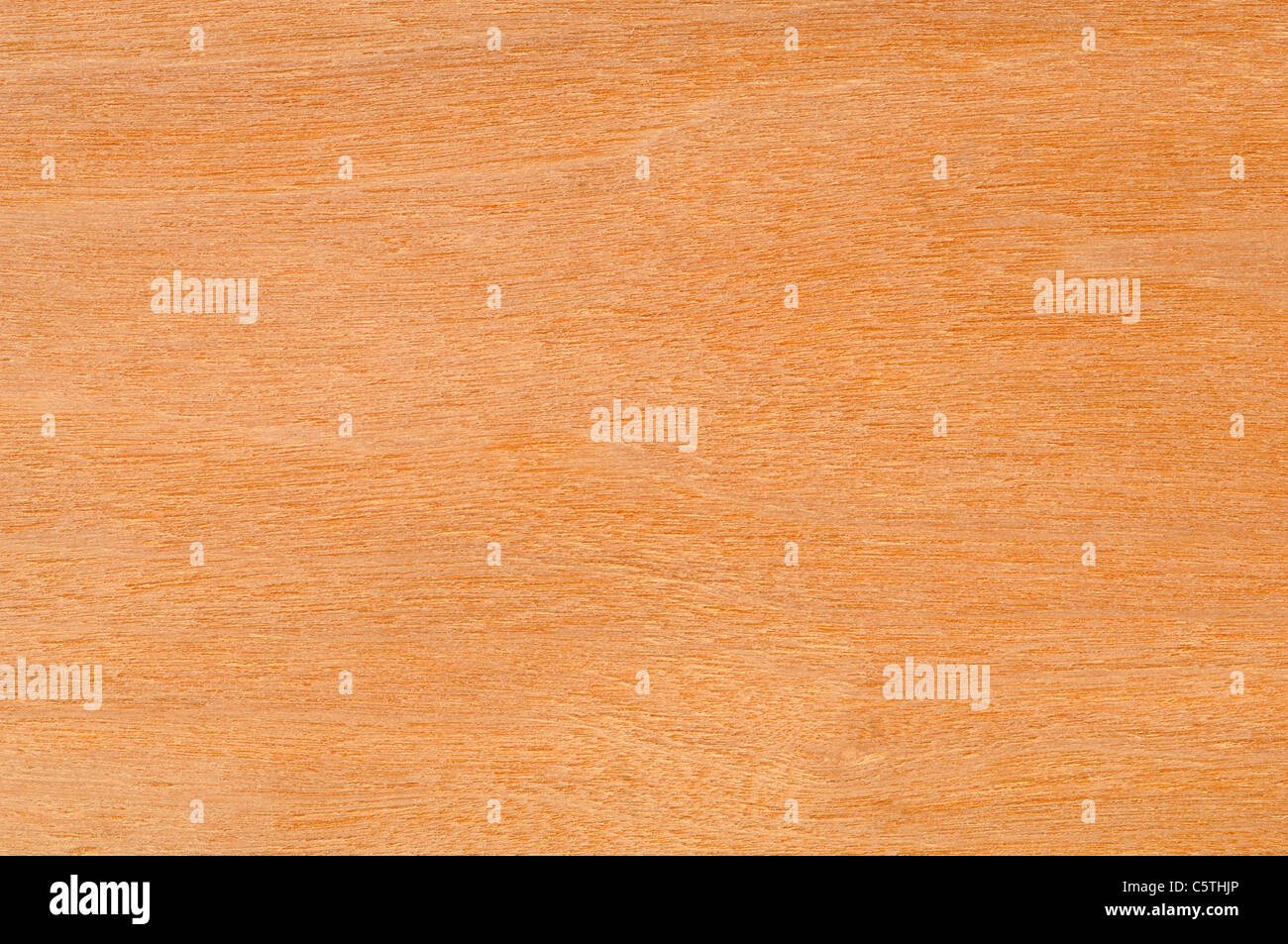 Wood surface, White peroba wood (Paratecoma peroba) full frame Stock ...