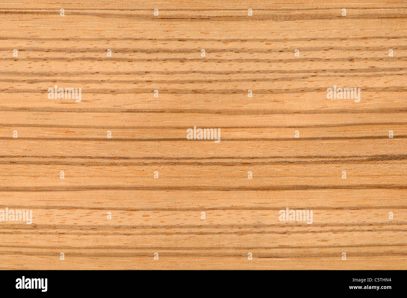 Wood surface, Zebrano wood (Microberlinia brazzavillensis).full frame ...
