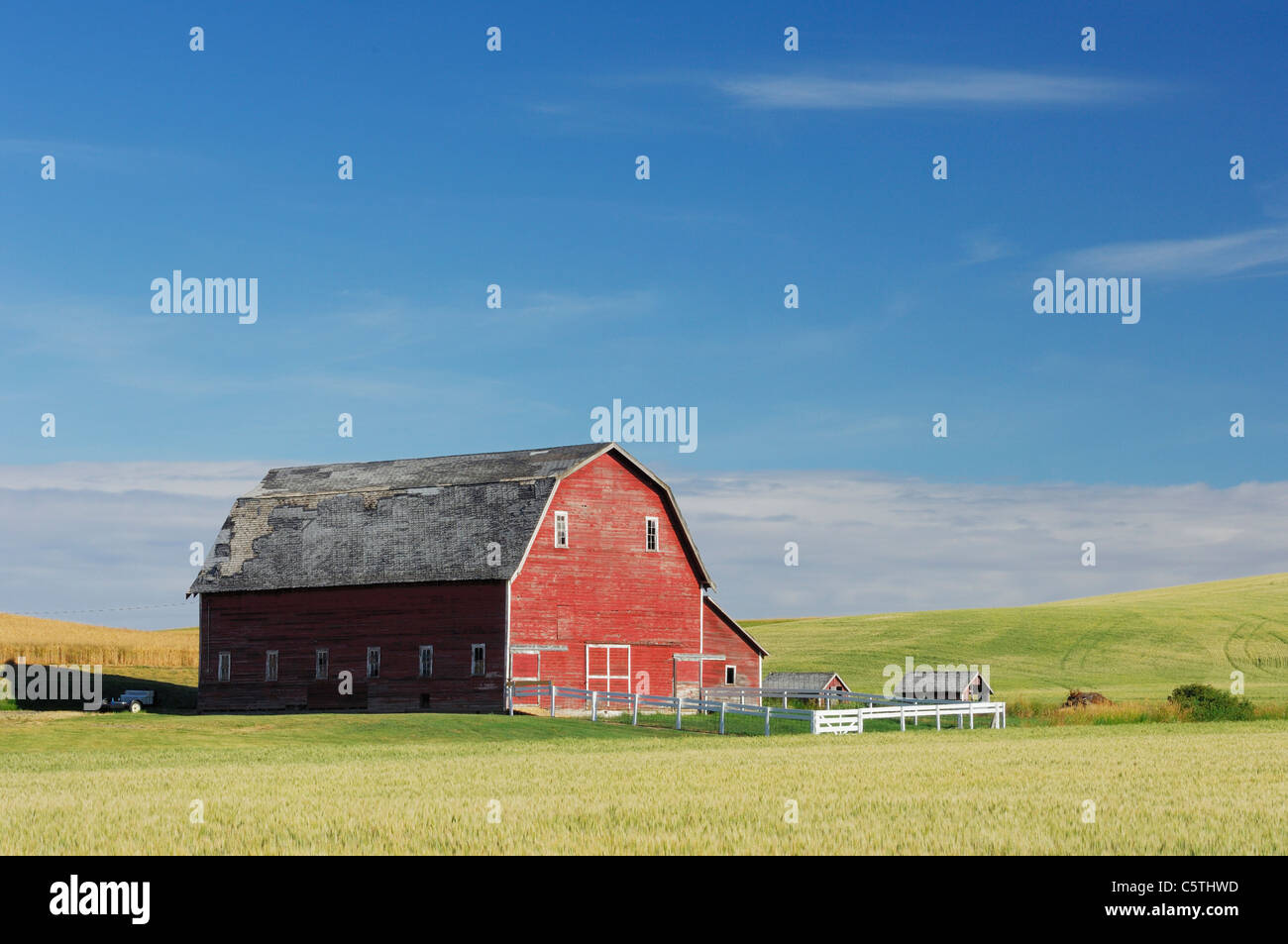 USA, Palouse, Whitman County, Washington State, Barn in field Stock ...