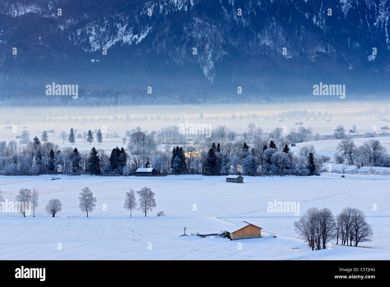 Germany, Bavaria, Murnauer Moos, View of frosty morning Stock Photo - Alamy