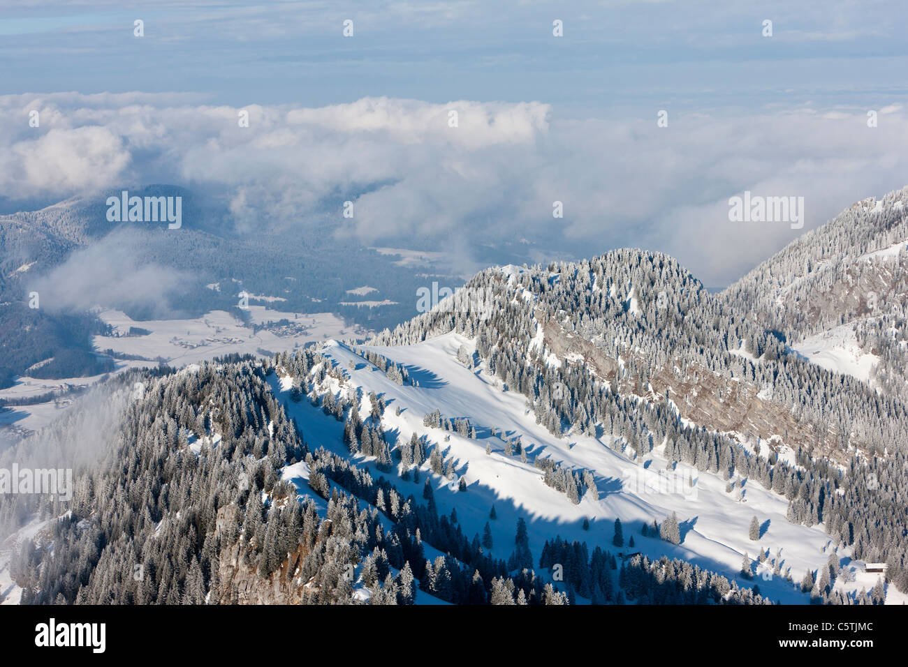 South Germany, Upper Bavaria, Bayrischzell, View of forest from ...