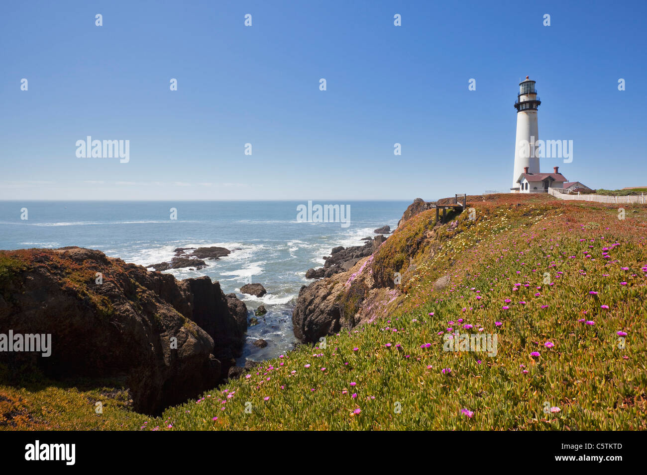 USA, California, Pigeon Point Lighthouse Stock Photo - Alamy