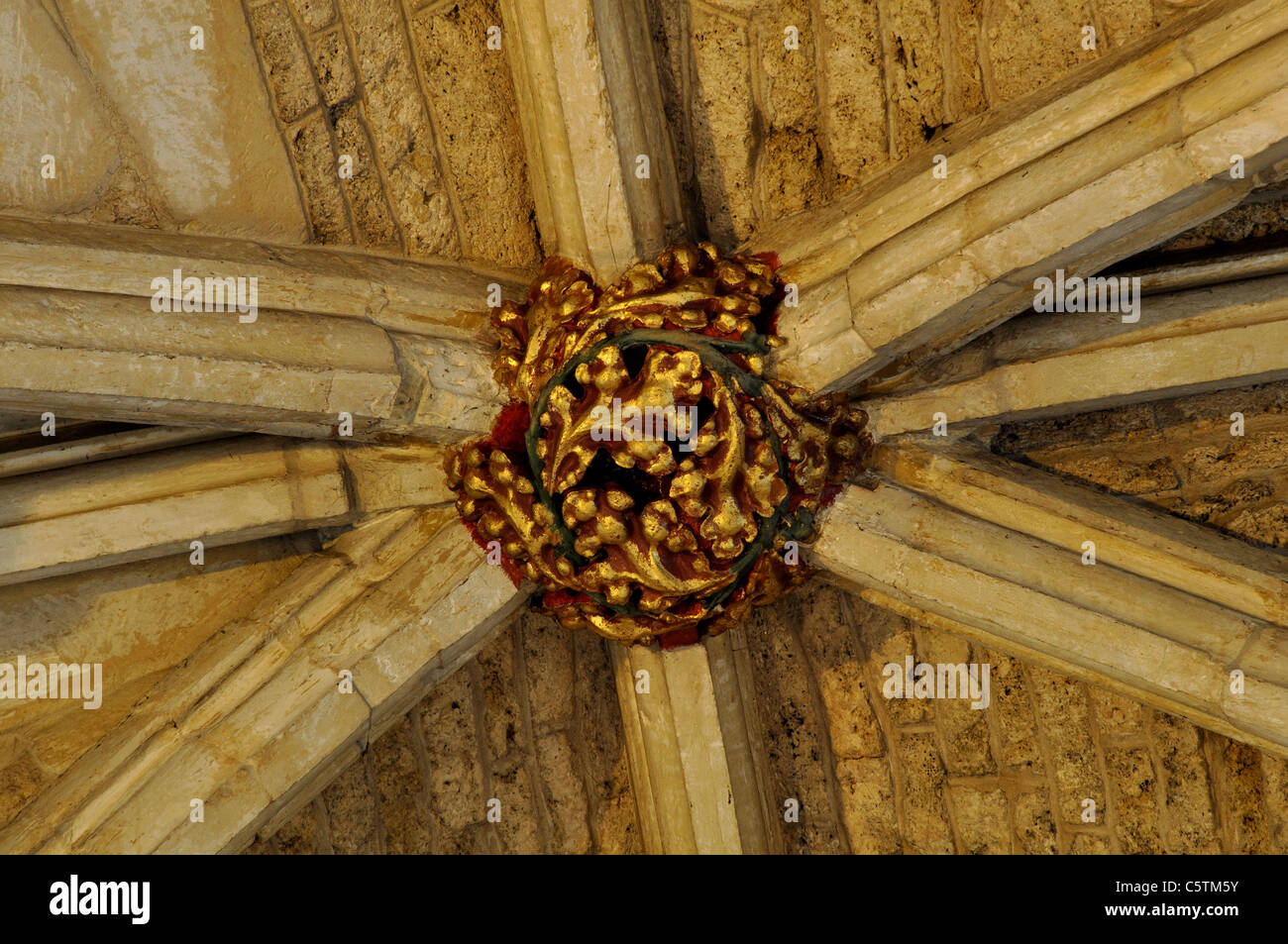 Roof boss in Malmesbury Abbey, Wiltshire, England, UK Stock Photo - Alamy