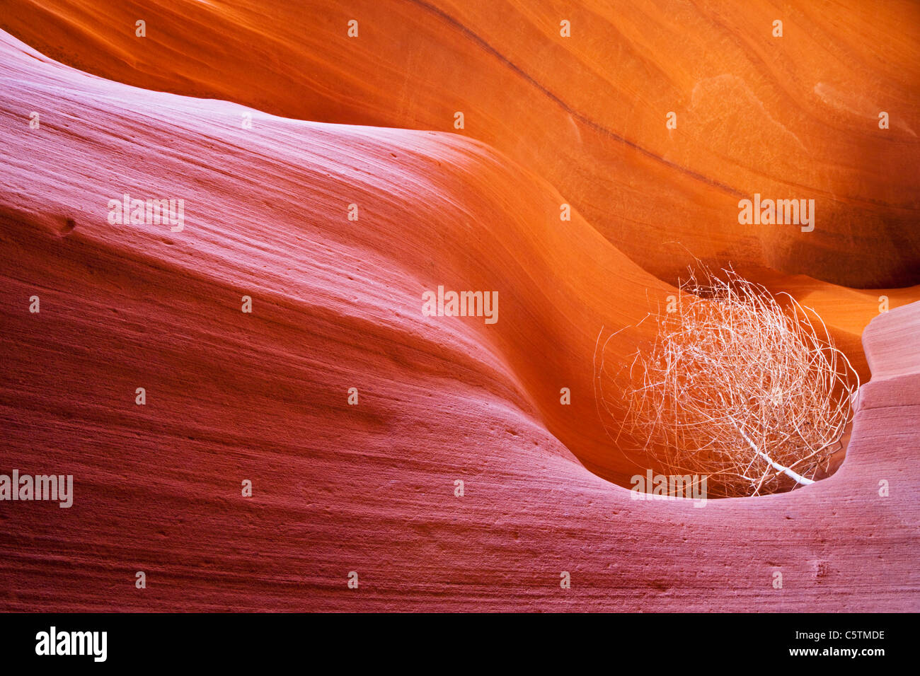 Tumbleweed hi-res stock photography and images - Alamy