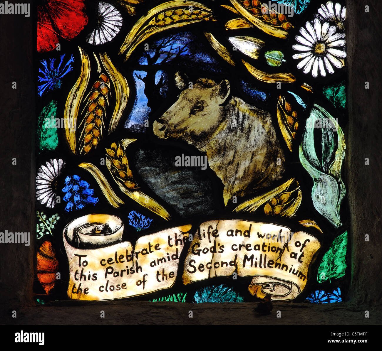 Stained glass windows animals hi-res stock photography and images - Alamy
