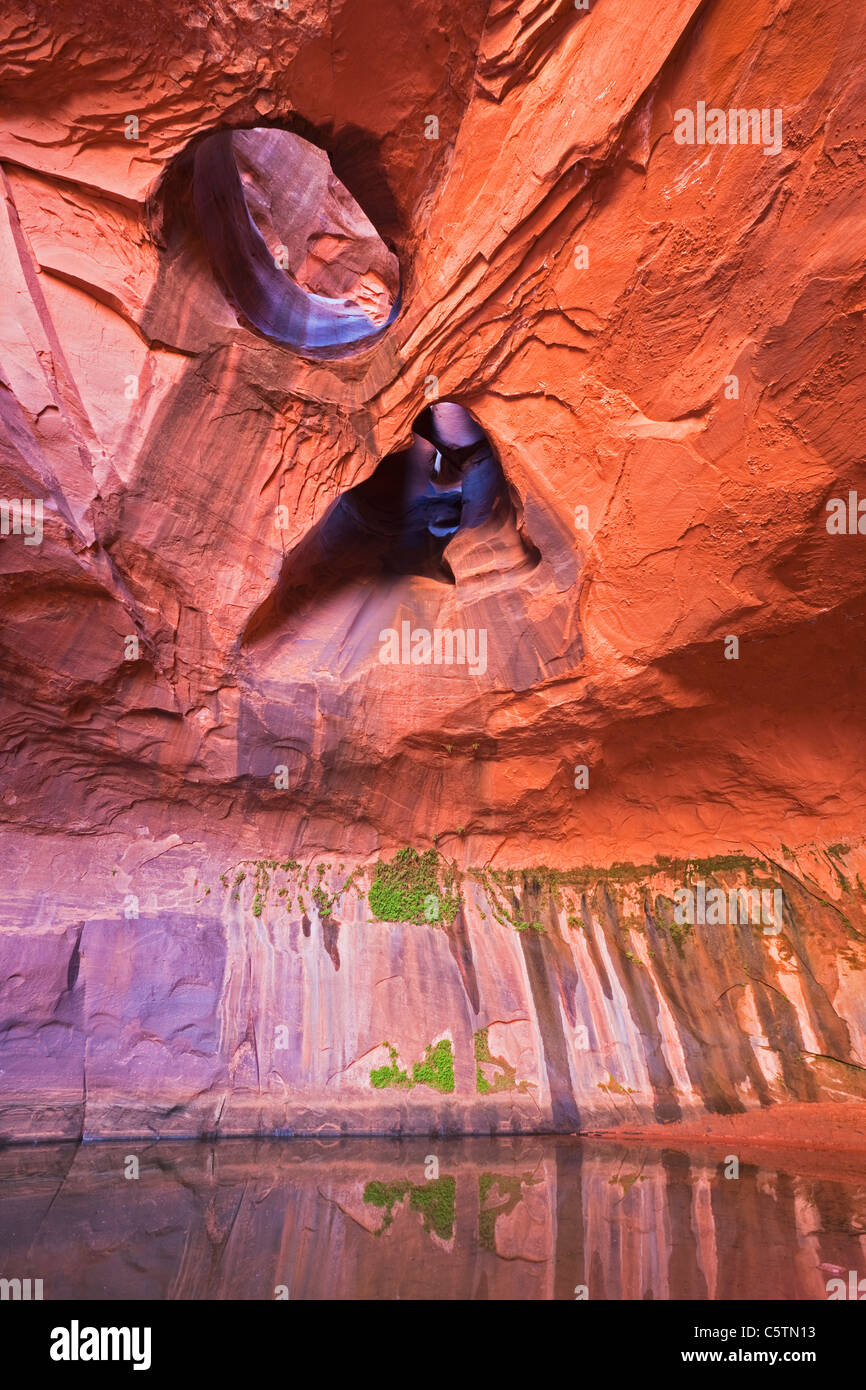 USA, Utah, Grand Staircase-Escalante National Monument, Neon Canyon ...