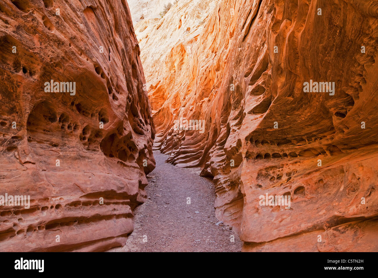 USA, Utah, San Rafael Swell, Little Wild Horse Canyon, Slot Canyon ...